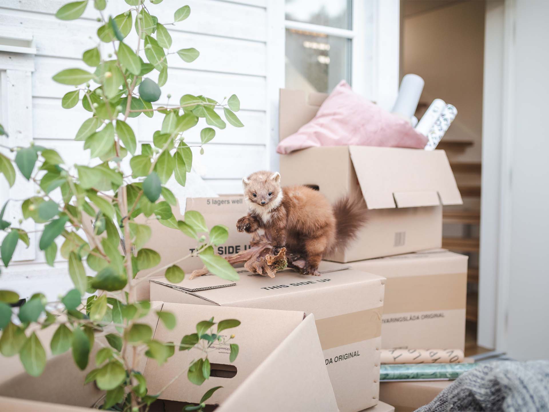 Checklista vid flytt till nytt: SmålandsVillan tipsar